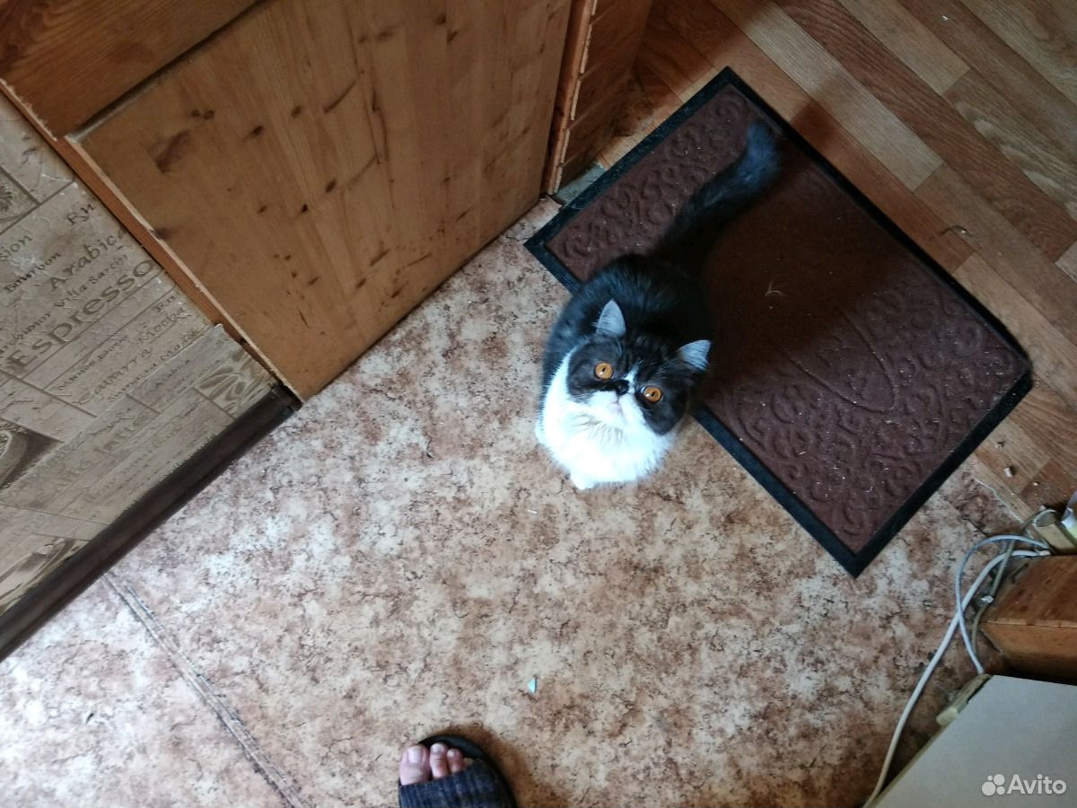 Мальчик Экзотик