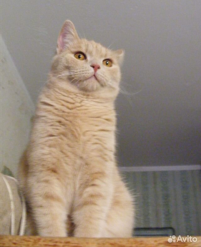 "Неотразимый."