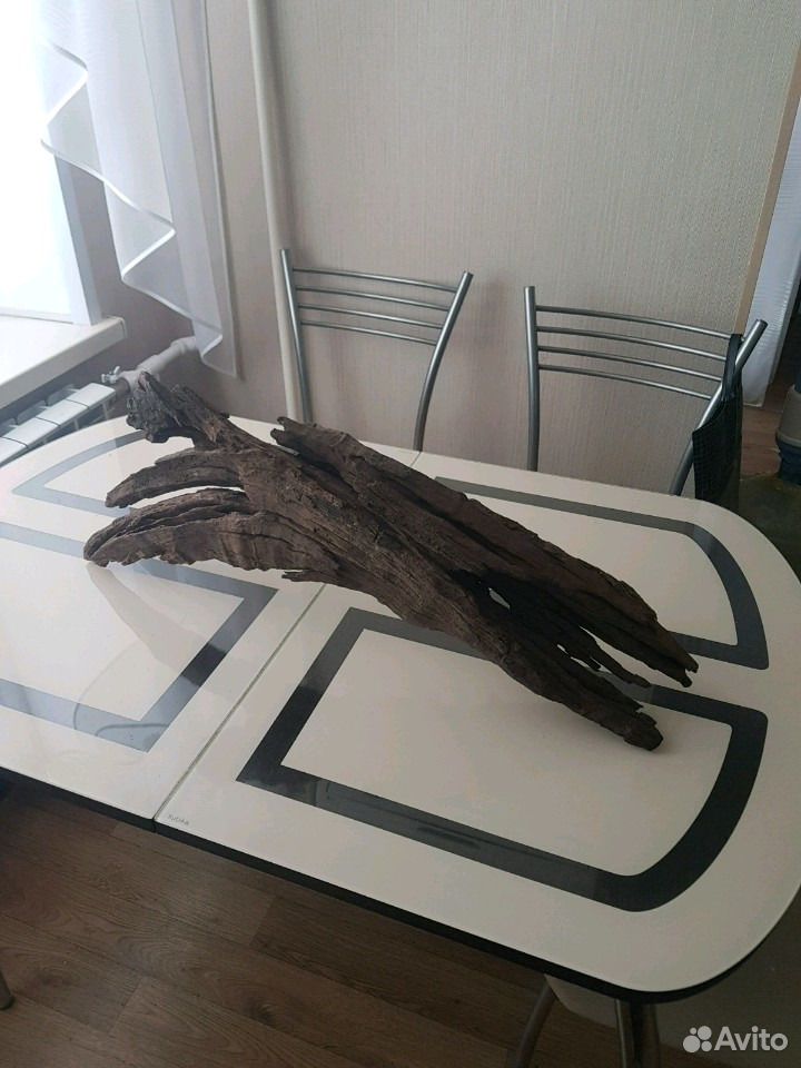 Коряга