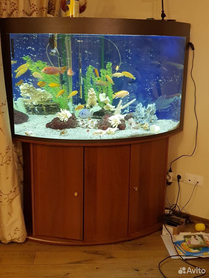 Аквариум+тумбочка от Аква Декор 550 литров
