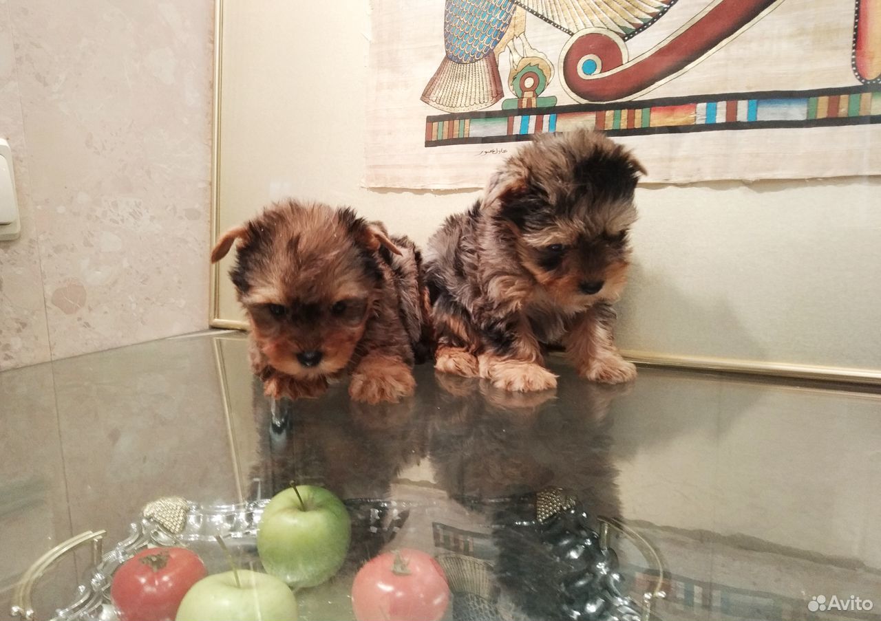 Для счастья и любви малютки