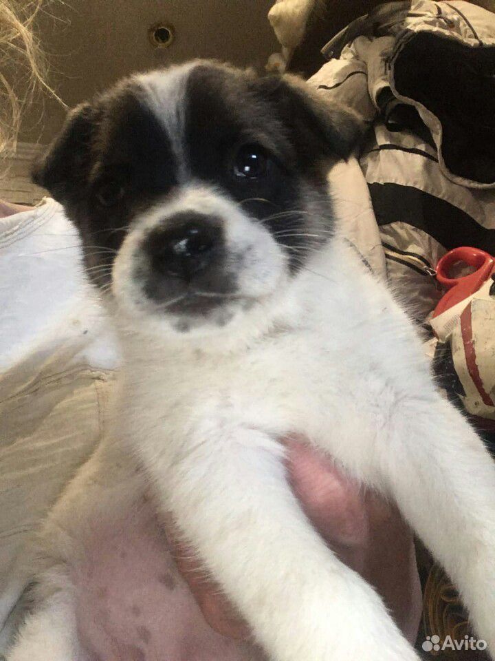 Я так жду мамочку