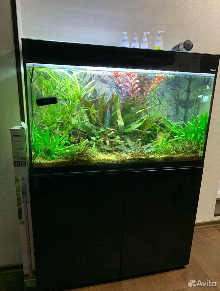 Aquael Glossy 100