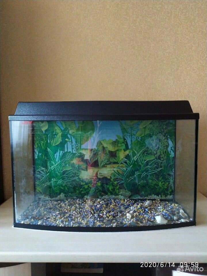 Аквариум