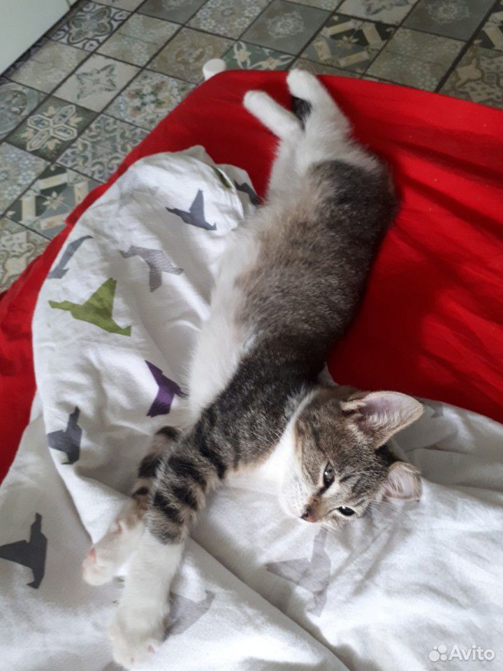 Солнечный мальчик