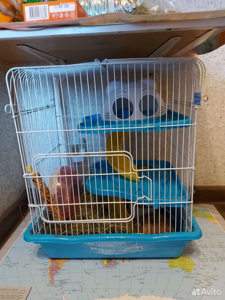 Хомяк с клеткой