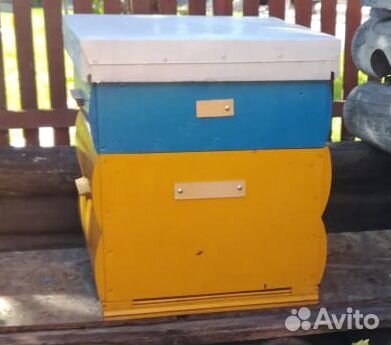 1 - 2 сильных семьи пчел продам