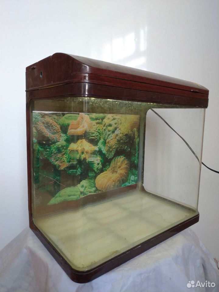 Аквариум с оснащением