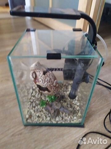 Аквариум Aquael 10л