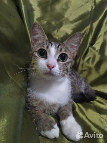 Подросток Леня в хорошие руки