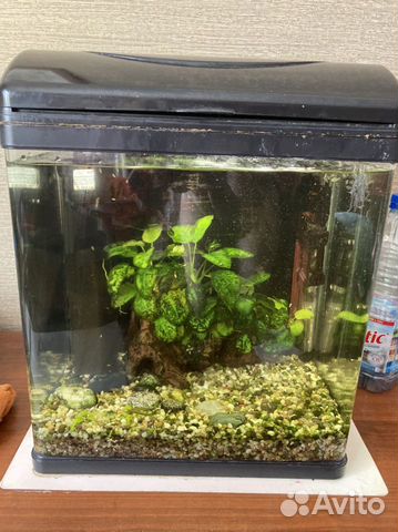 Laguna star Аквариум с помпой, фильтром и лампами