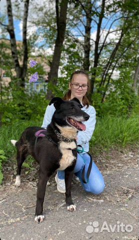 Голубушка Берта