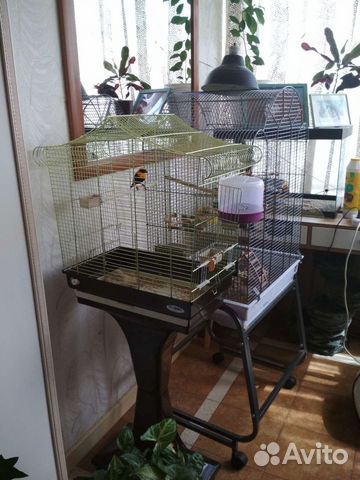 Притчи с клеткой в дар