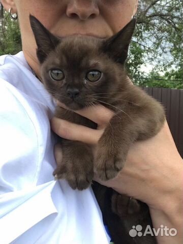 Бурманская