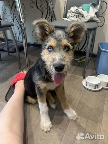 Очеровательный малыш в самые заботливые ручки