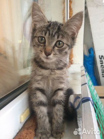 Малышка-девочка