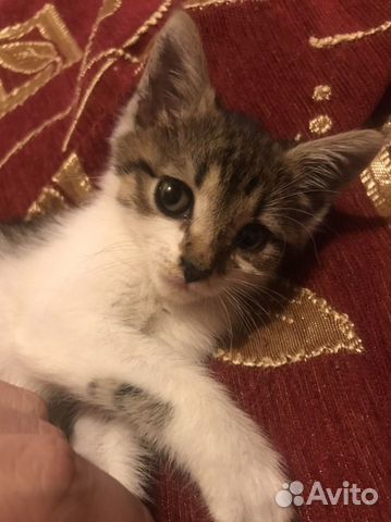 Девочка боец