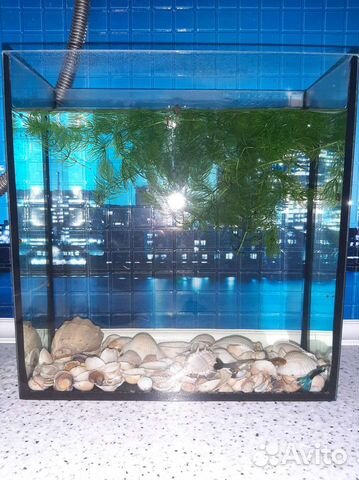 Аквариум