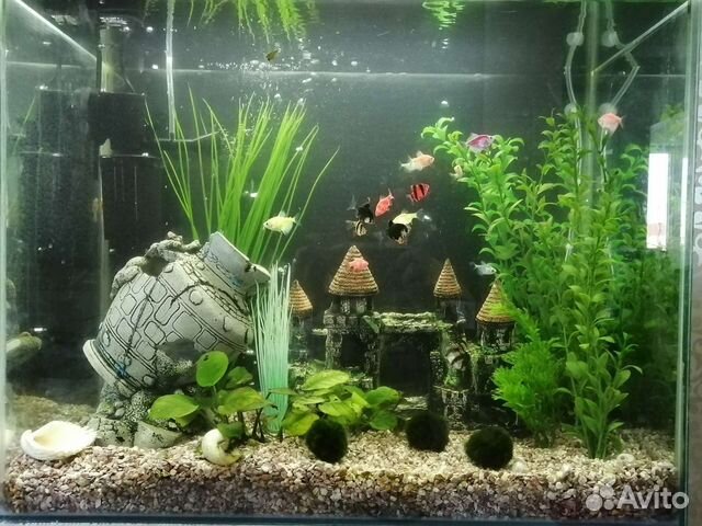 Аквариум aquael