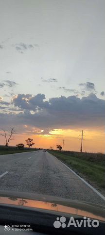 Крупно рогатый скот