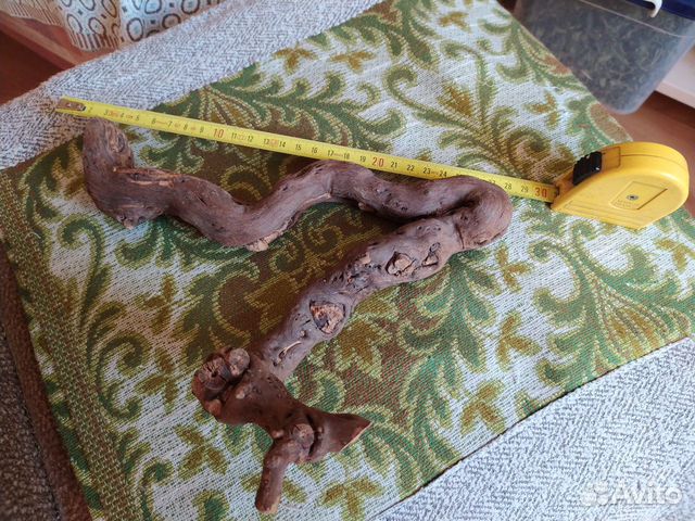 Коряга, камни и конусы