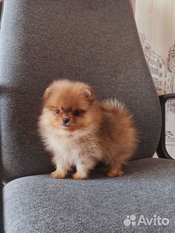 Миниатюрная куколка