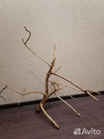 Коряги для террариума, полюдариума, аквариума