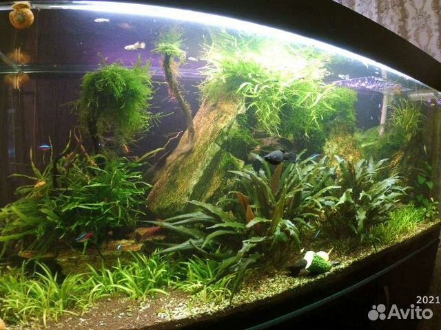300л аквариумный комплекс