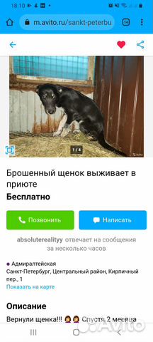 Щенку нужна любовь и дом