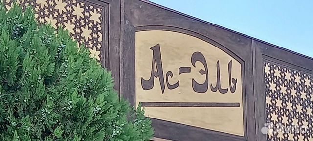 Улитки ахатины 3 года