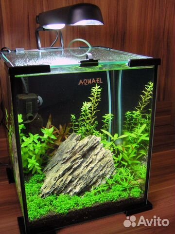 Аквариум «aquael shrimp SET» 19 литров