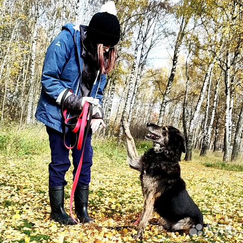 Тимоша ищет дом