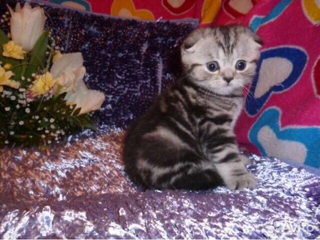 Новогодняя радость