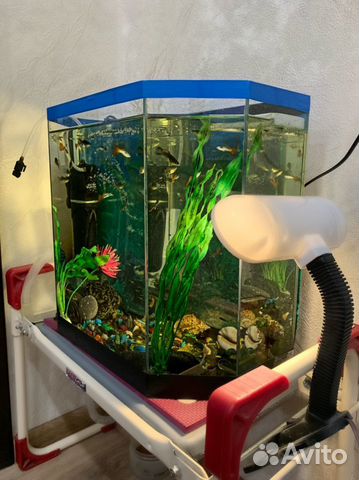 Аквариум со всеми принадлежностями