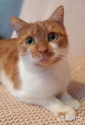 Малышка на миллион