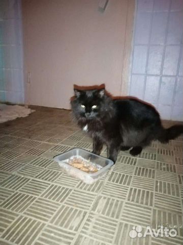 Персидская