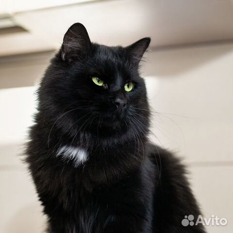 6 кг счастья