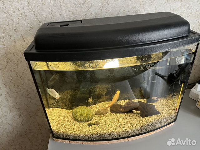 Акварикм 30 л в комплекте