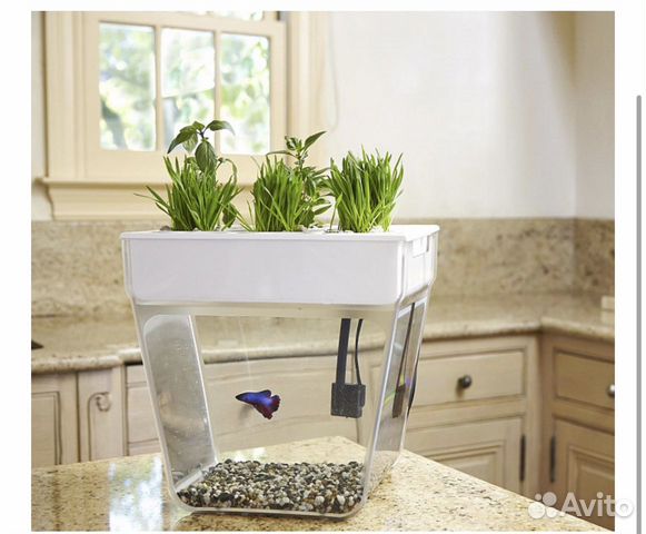 Акваферма новая