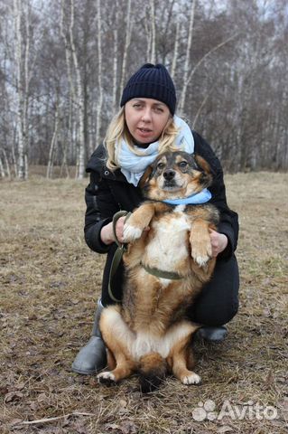 Подарите шанс собачке Бобо из приюта
