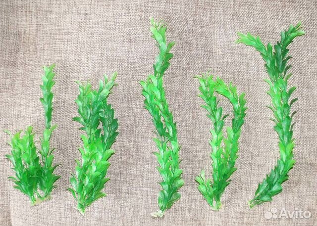 Искусственные растения для аквариума