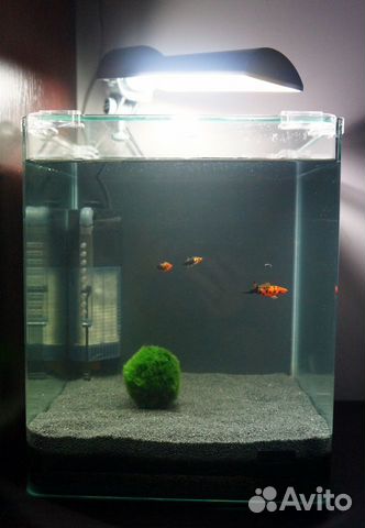 Аквариум Dennerle Nano Cube Complete plus на 20 л