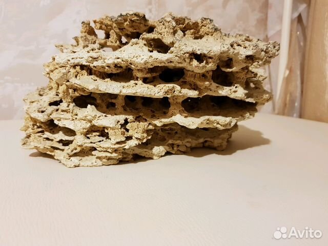 Декор для аквариума