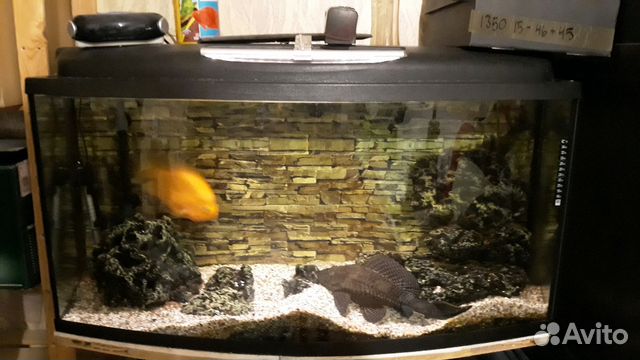 Аквариум телевизор 180 литров с рыбами
