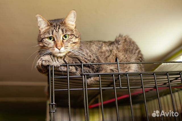 Человеку с добрым сердцем