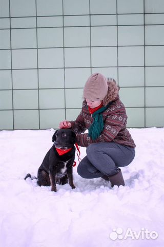 Некрупный песик Чарлик