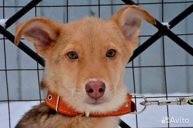 Самый милый Огонек