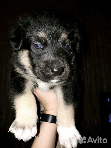 Чудесные малыши