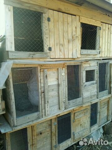 Клетки для содержания кролей