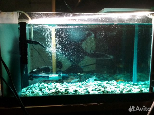 Аквариум 20л